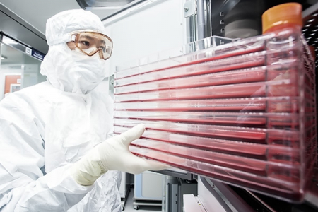 CDMO Service – 메디포스트